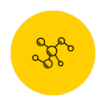 Amino Acids – Nootropix